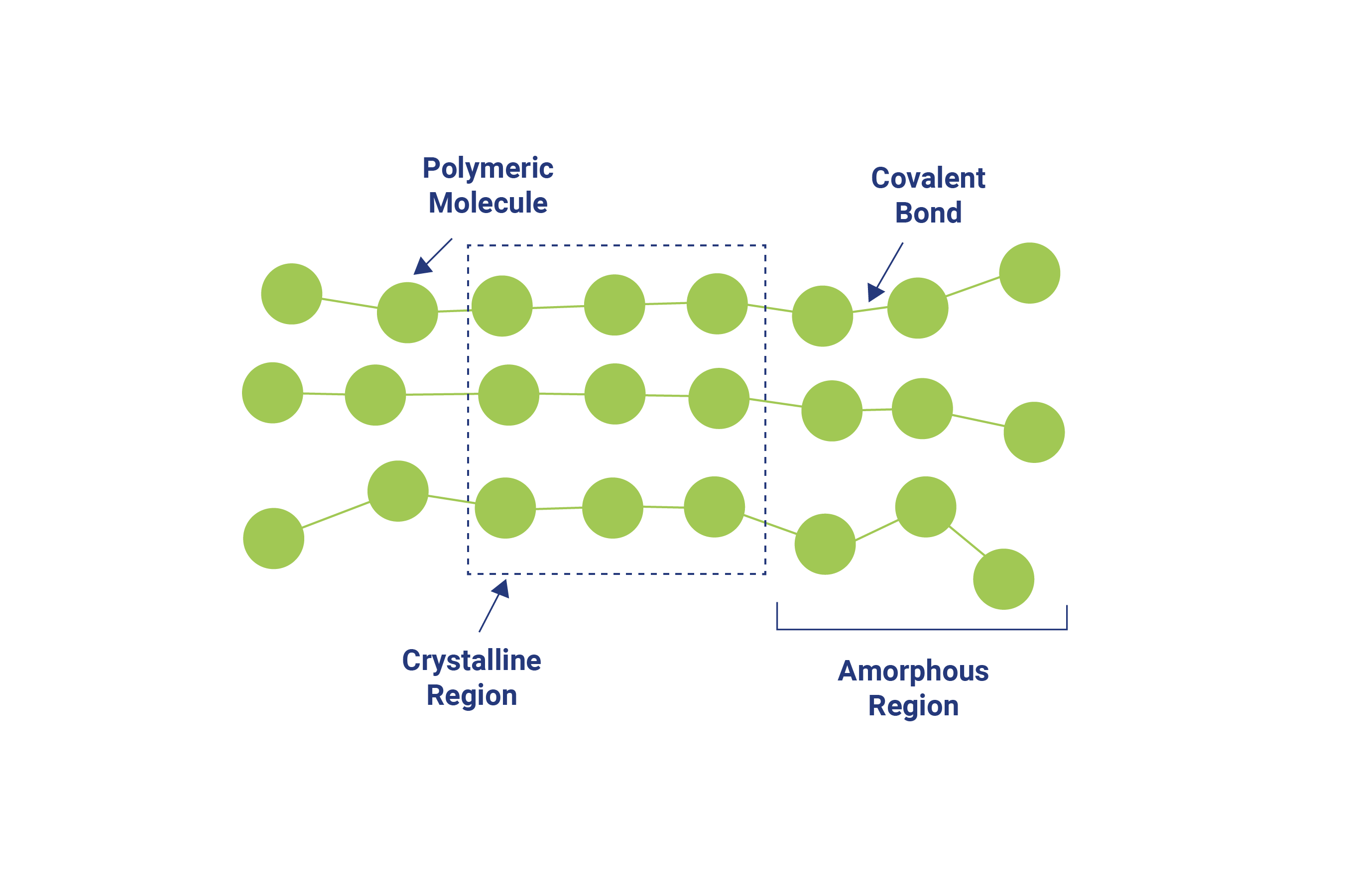 Thermoplastic vs. Thermosetting Polymers Explained